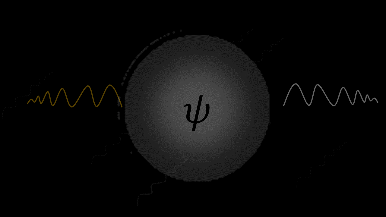 Wave Function (Quantum Mechanics) ,FAQs(Physics)-ScienceFever